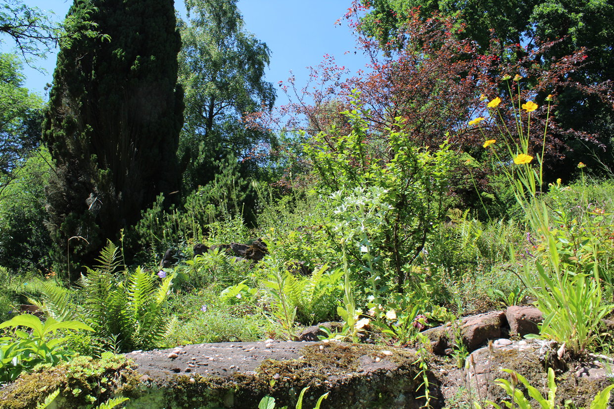 Jardin botanique du col de Saverne - Parc naturel régional des Vosges ...