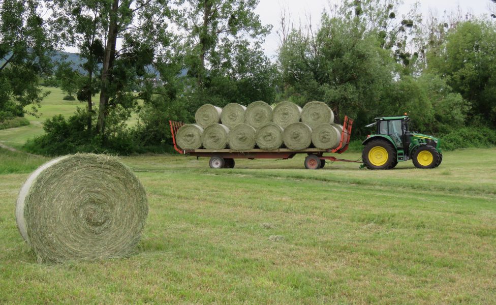Les prairies permanentes, un patrimoine agricole et naturel rentable ...