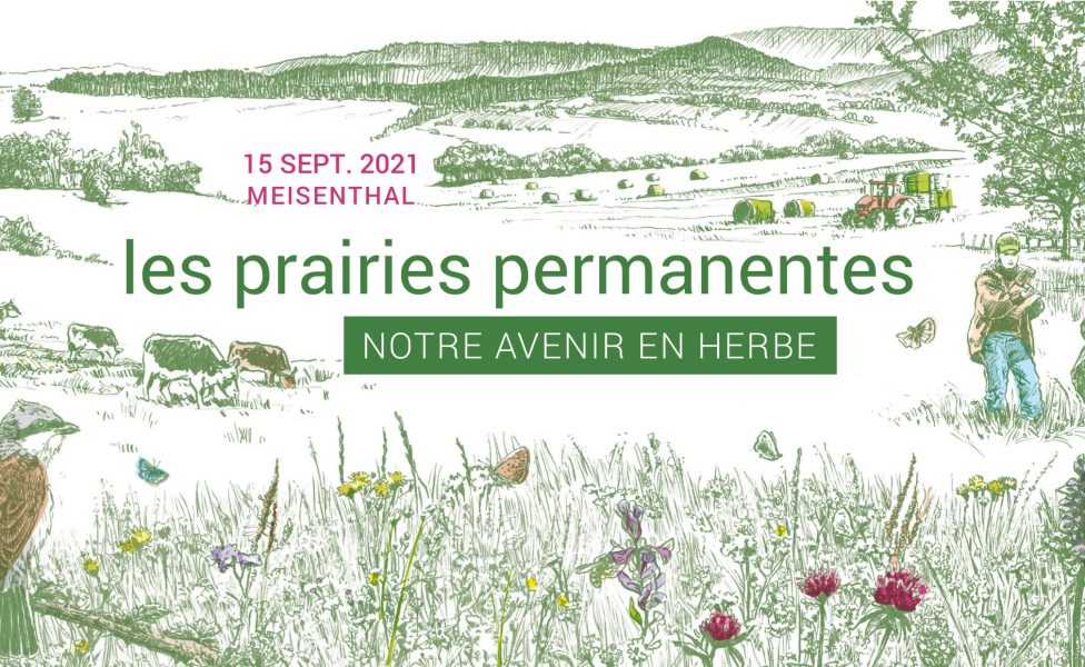 Les prairies permanentes et leurs valeurs agronomiques, économiques et ...