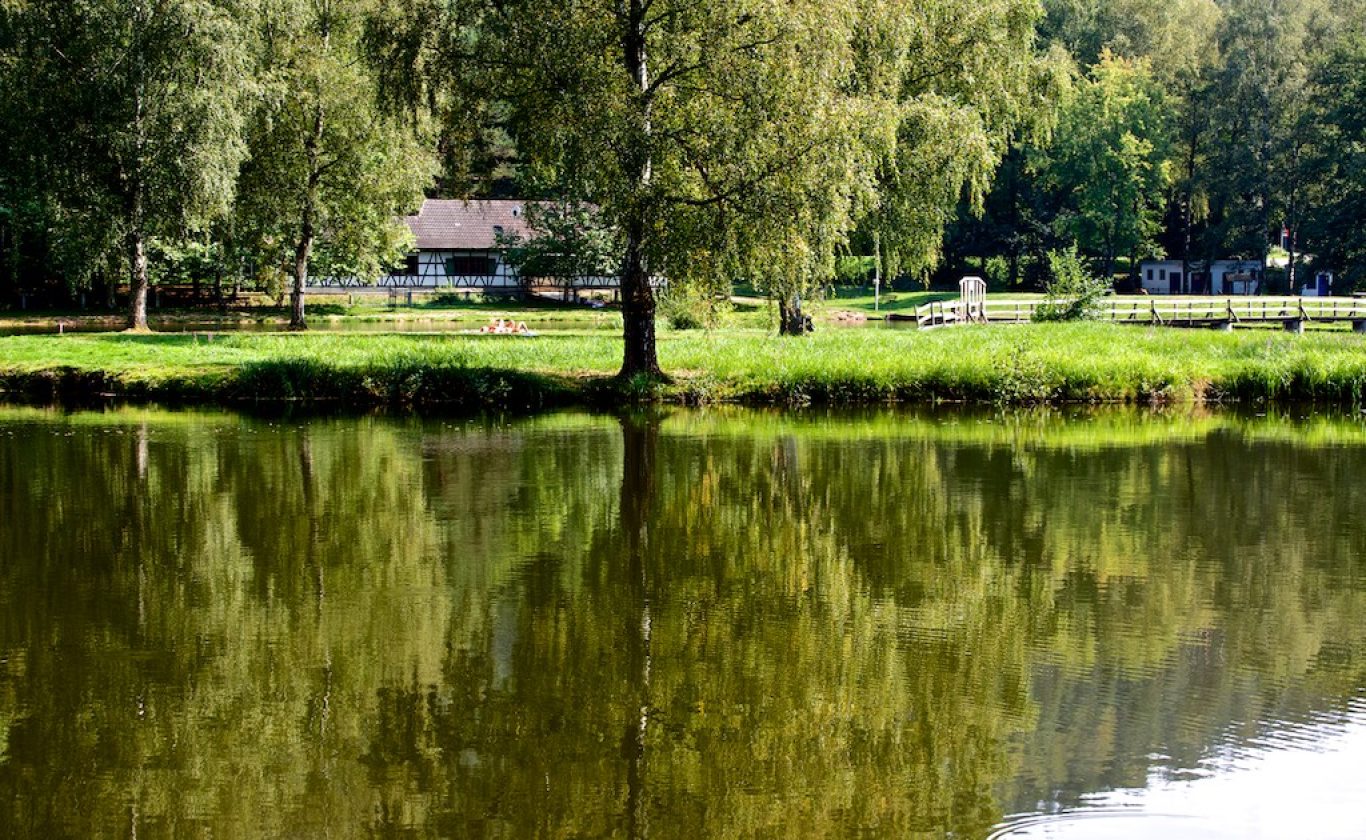 Etang de pêche du fleckenstein - Parc naturel régional des Vosges du Nord